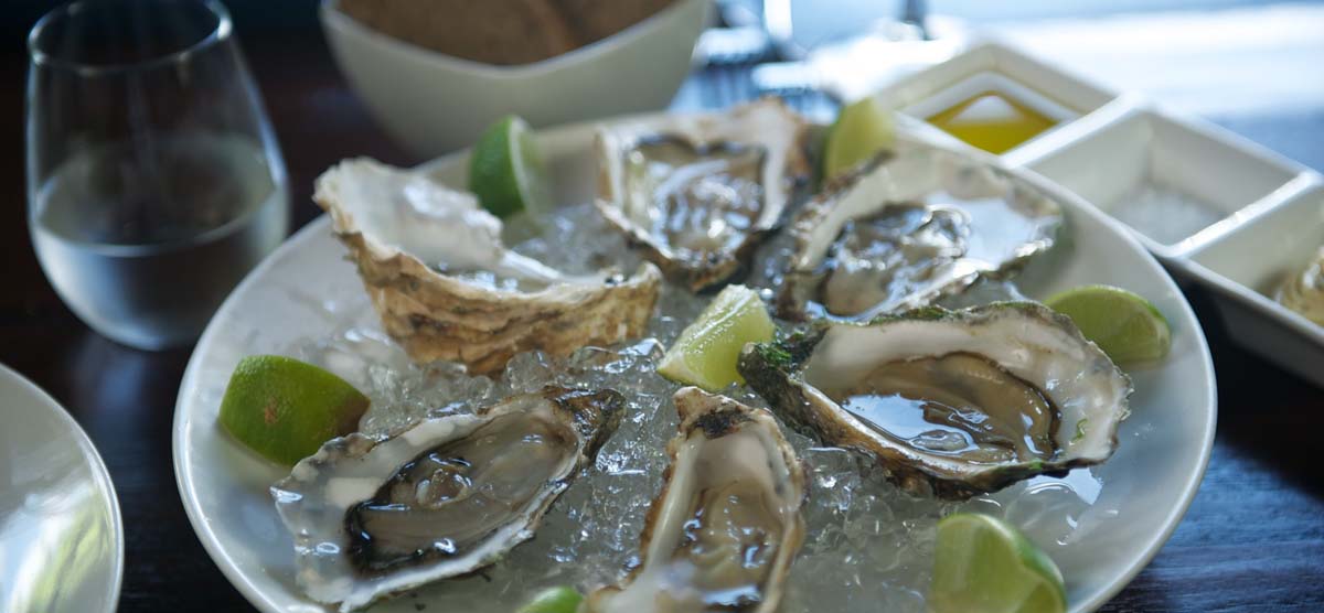 Horecawerk Curaçao / Restaurants / Fishalicious Curaçao